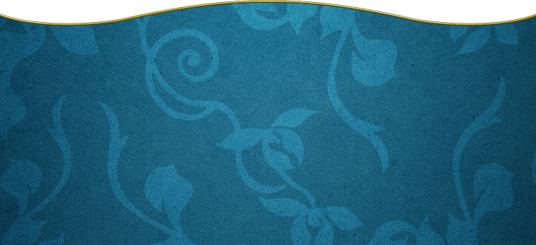 Official: Tokyo DisneySea｜Fantasy Springs